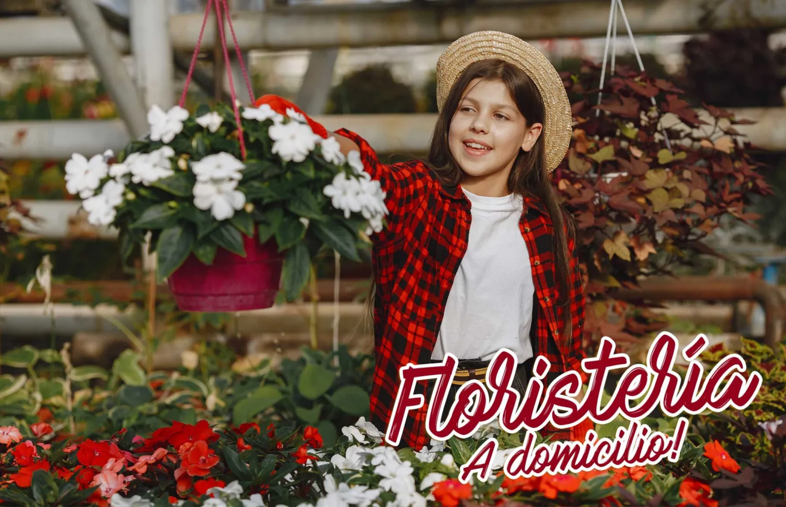 ️ Floristerías en Tunja - Boyacá ️ | FLORES A DOMICILIO!